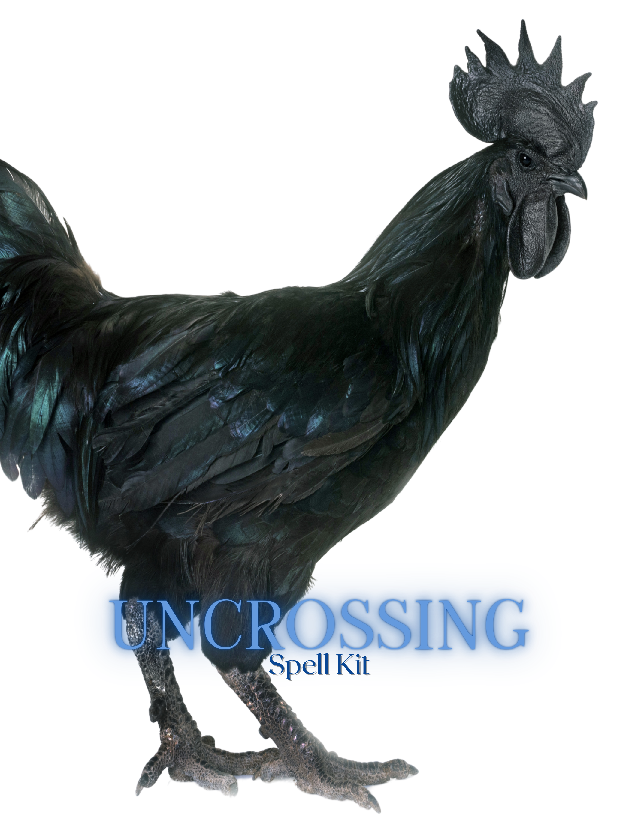 Uncrossing Spell Kit | Dragonfly Creations Spiritual & Conjure